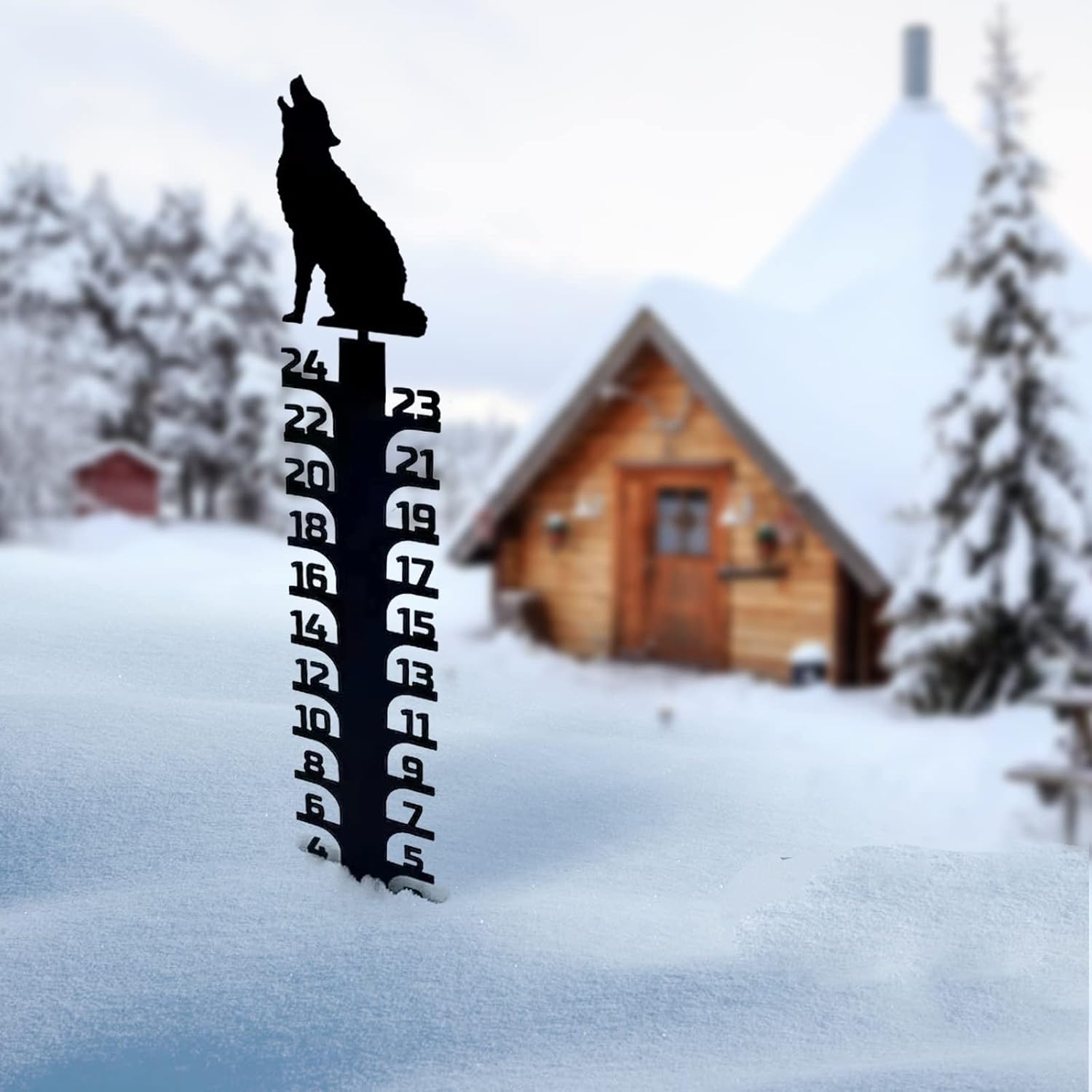 Amazon.com: Snow Gauge Outdoor, 24 in Iron Art Snow Gauge Detachable ...