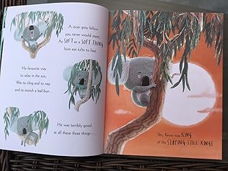 The Koala Who Could : Bright, Rachel, Field, Jim: Amazon.co.uk: Books