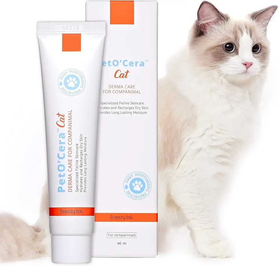 Understanding Skin Cysts In Cats: Causes And Treatment Options | PetShun