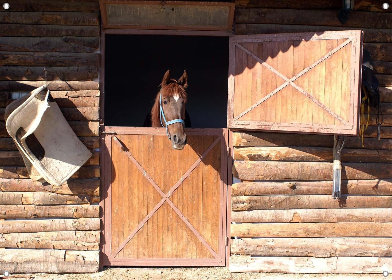Amazon.com : Gorpic 5x3ft Fabric Horse Stable Door Backdrops Banner ...