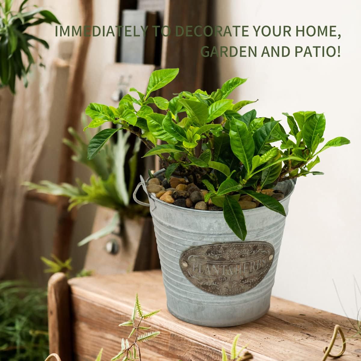 Metal Decorative Bucket for Party Favors and Succulents, Round Garden ...