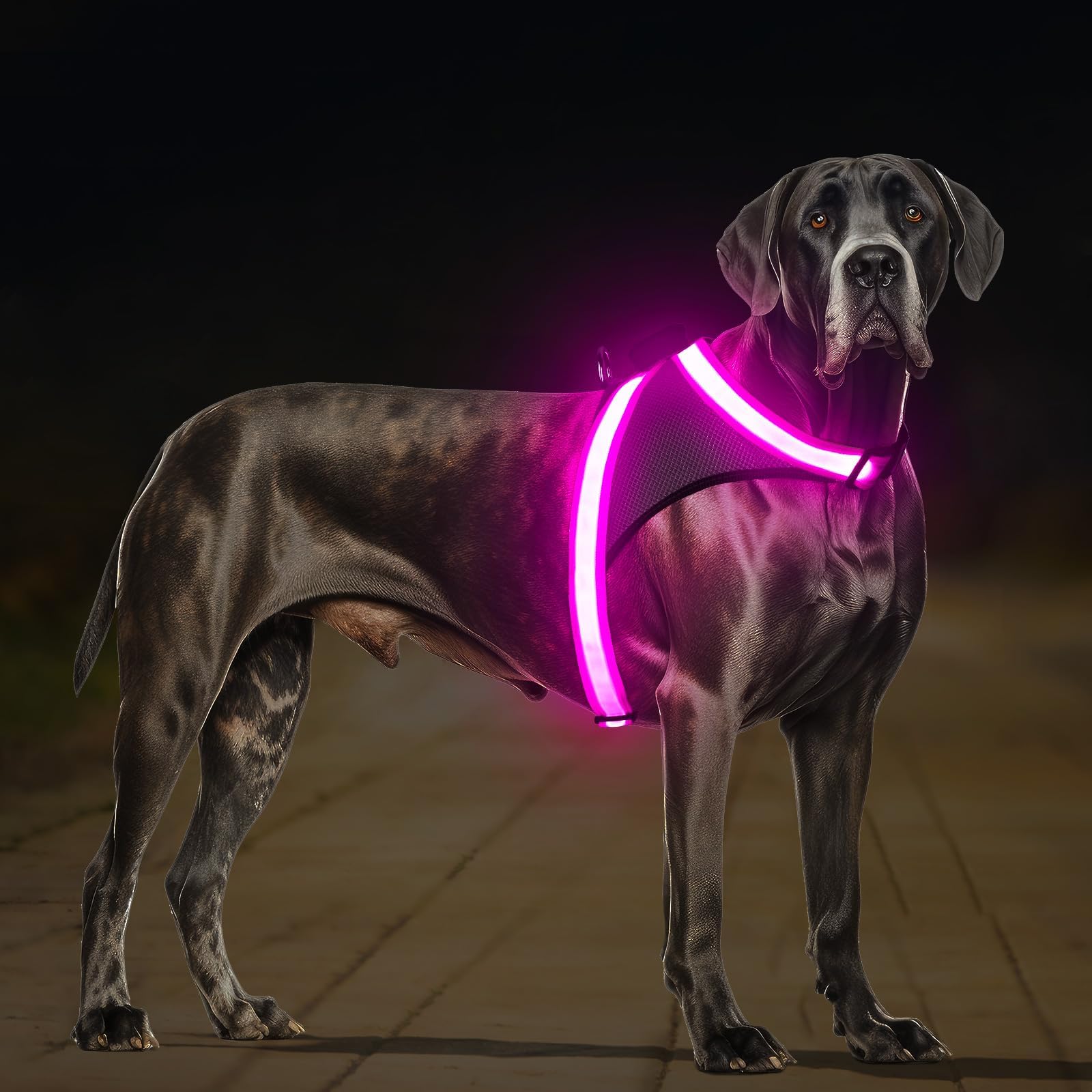 Amazon.com : ChalkLit Light Up Dog Harness, No Pull Led Dog Harness ...