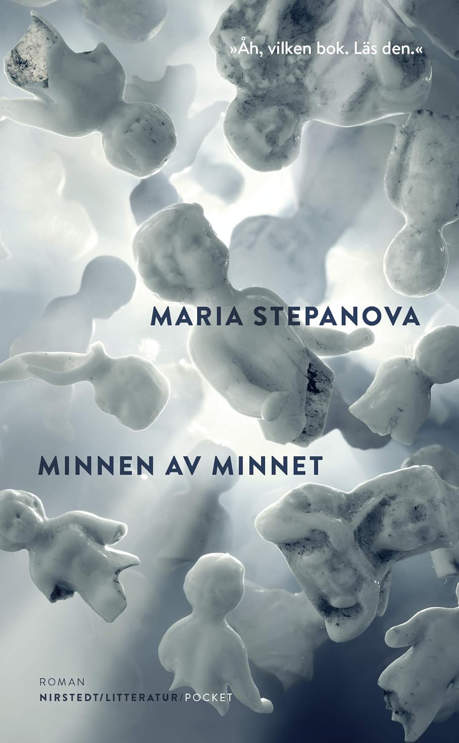 Amazon.com: Minnen av minnet: 9789189066106: Maria Stepanova, Nils ...