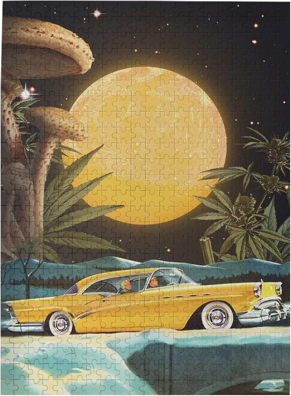 Amazon.com: Aikeory Weed Girl,Weed Art, Weed Poster, Stoner Art, Pin up ...