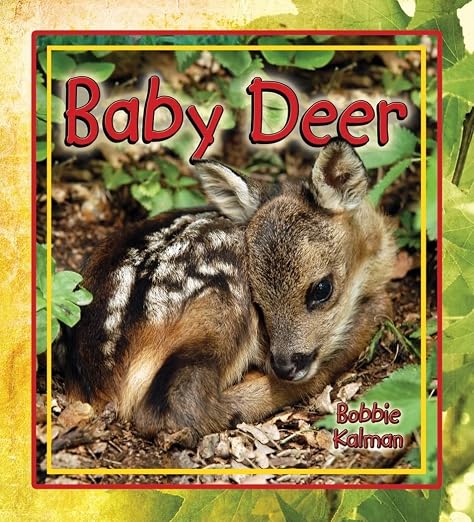 Baby Deer (It's Fun to Learn About Baby Animals, 5): Kalman, Bobbie ...