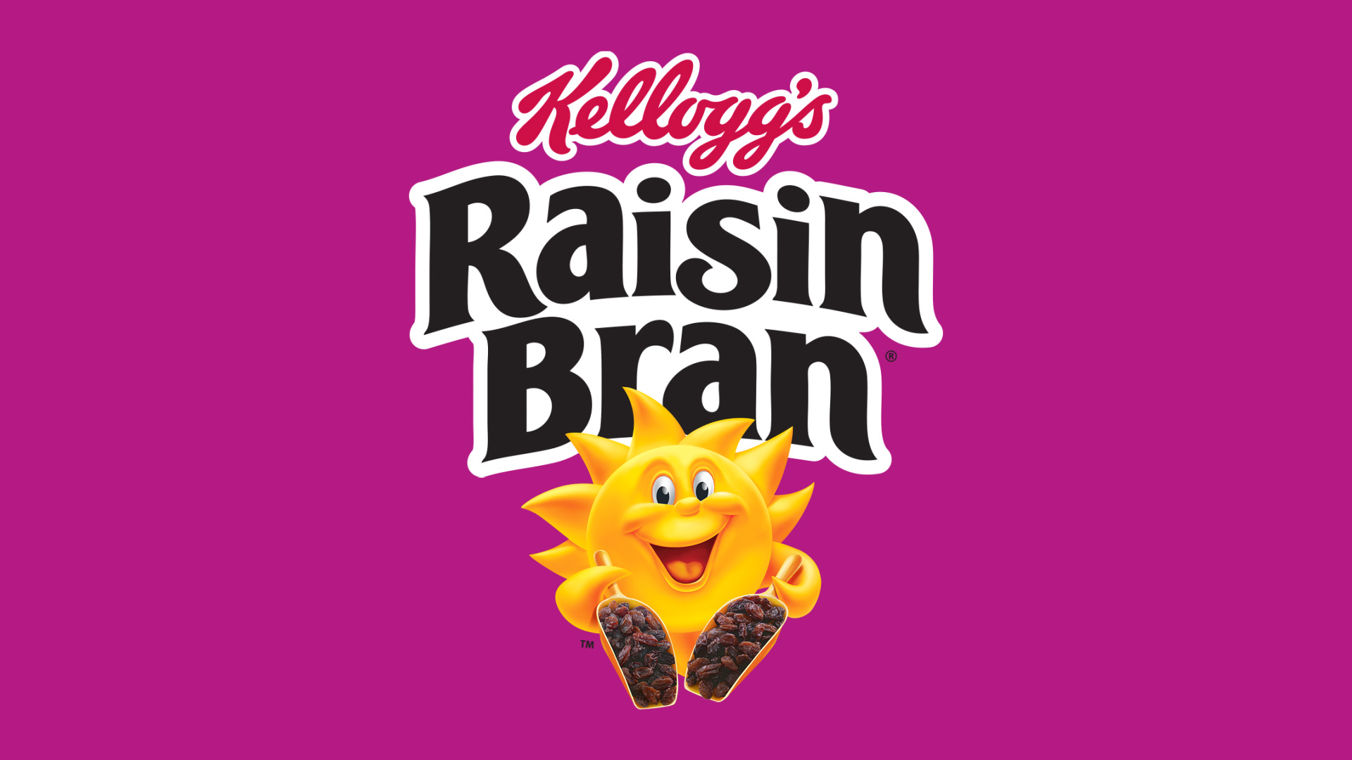 Raisin Bran Logo SE Grocers SE Grocers Raisin Bran Cereal 18.7