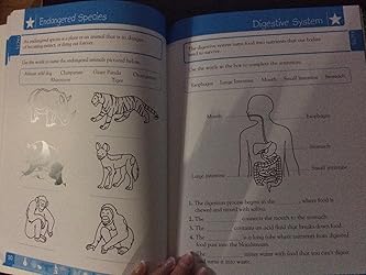 DK Workbooks: Science, Second Grade: Learn and Explore: DK ...