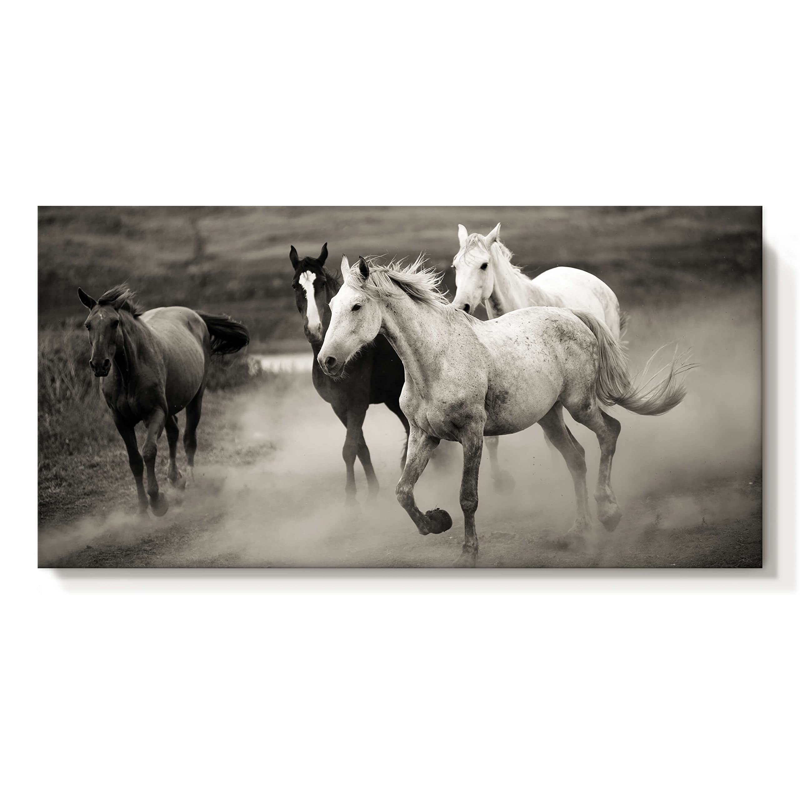 Amazon.com: cozy country Horses Canvas Wall Art Decor: Western ...