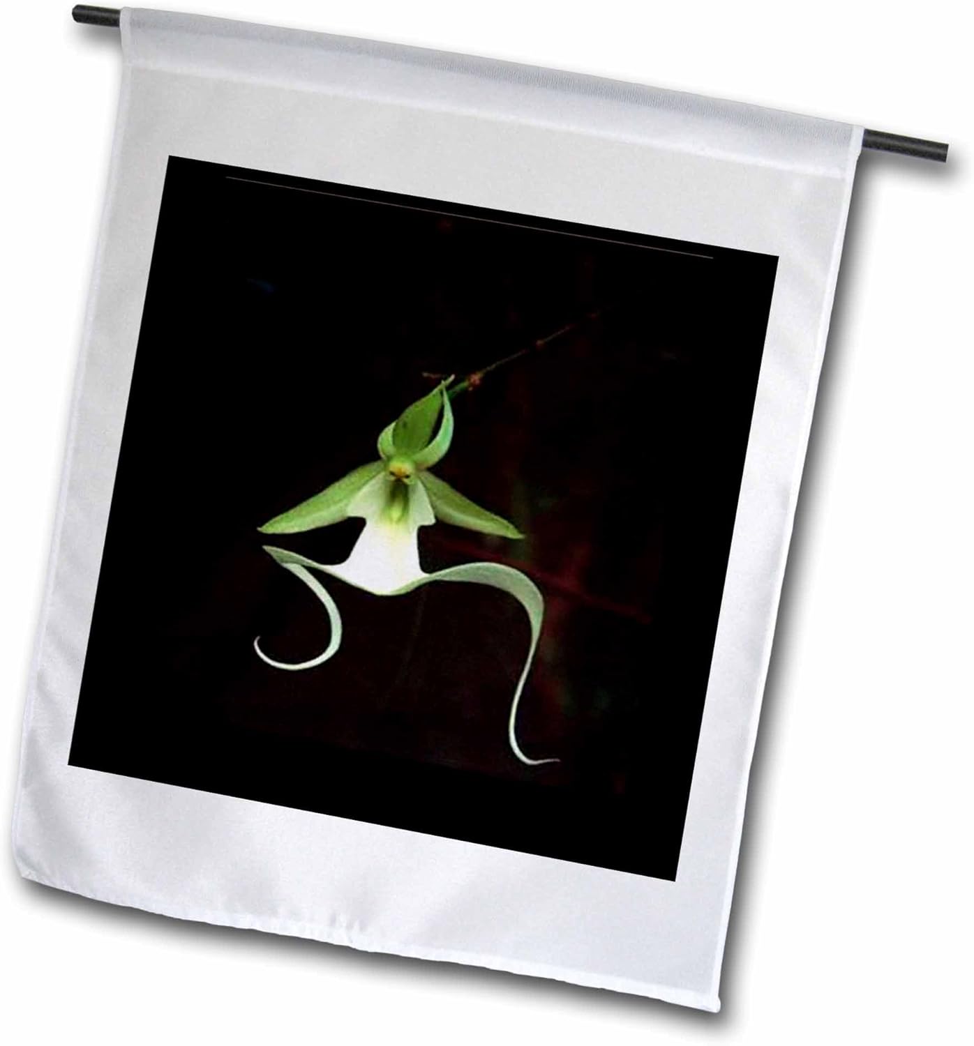 Amazon.com : 3dRose Fl_53293_1 Rare Exotic Ghost Orchid Garden Flag, 12 ...