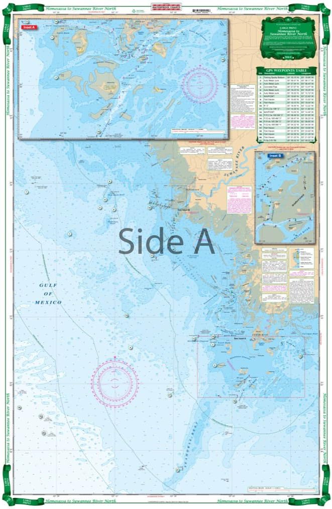 Amazon.com: Waterproof Charts 5E Homosassa Bay: Posters & Prints