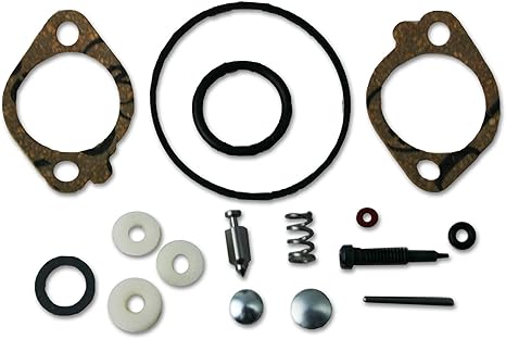 Amazon.com : Briggs & Stratton 498260 Carburetor Overhaul Kit : Lawn ...
