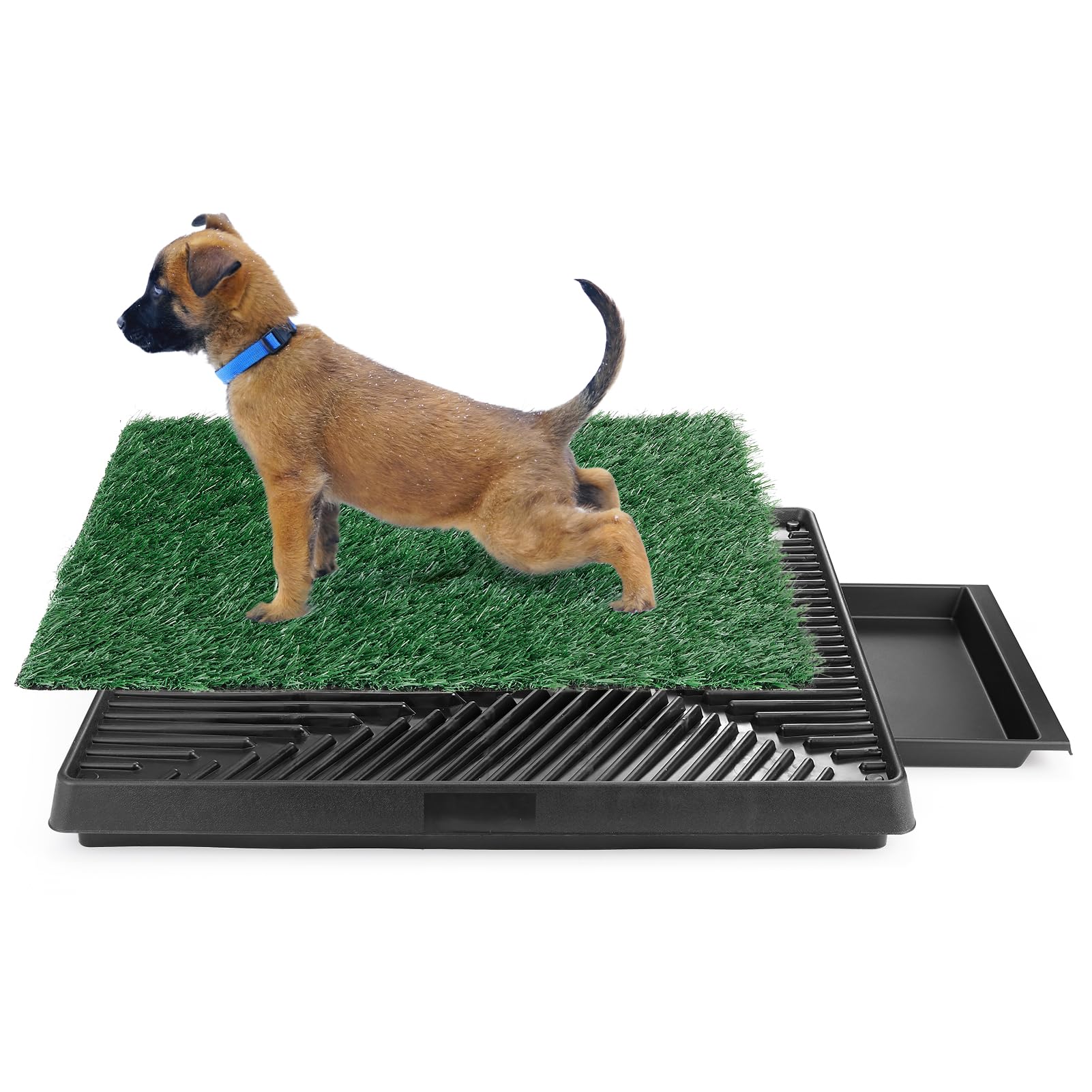 REDDRAGON Pasto Entrenador para Perro con Bandeja Inodoro, Retirable ...