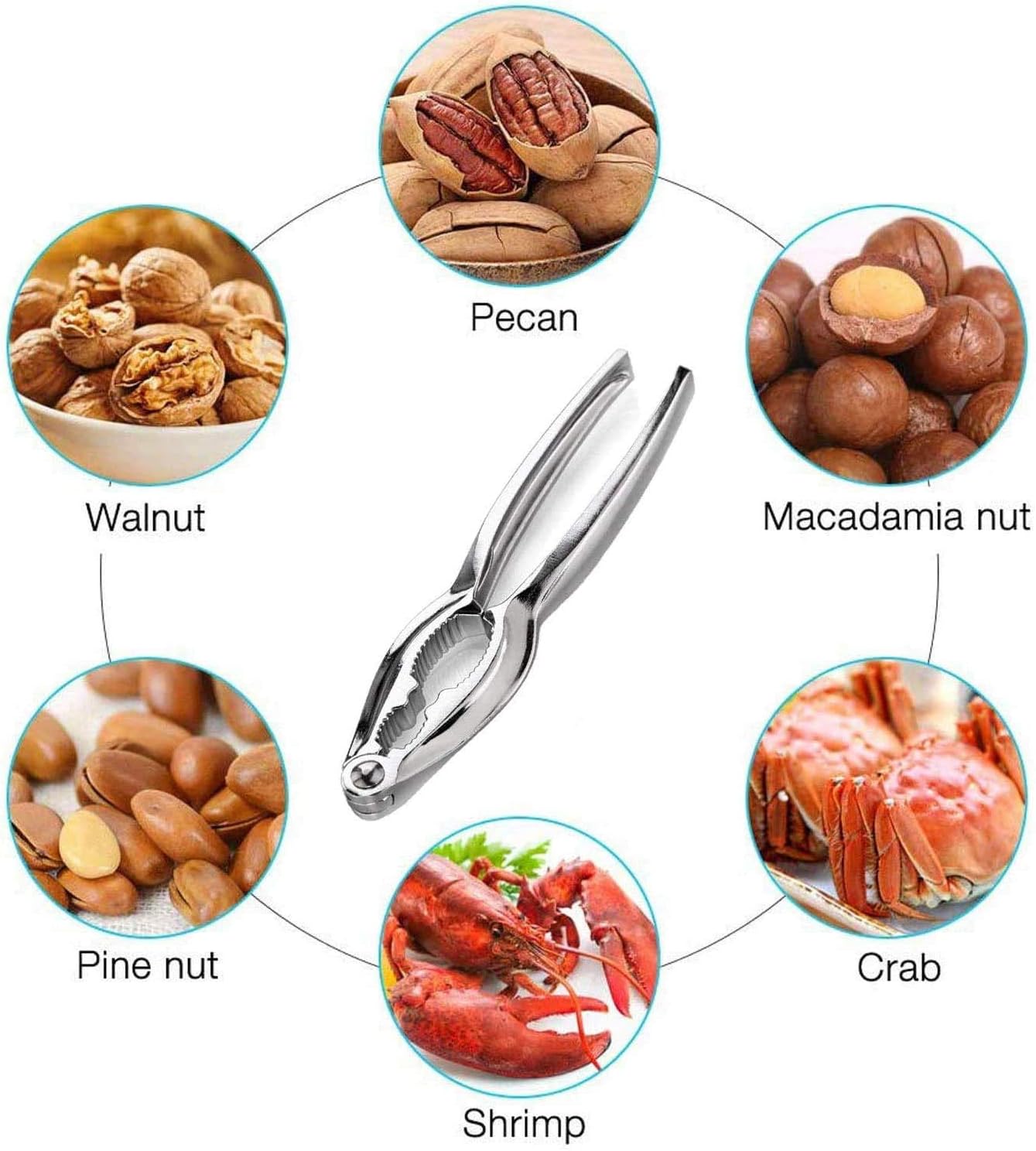 DingYongliang Nut Opener Sturdy Shell Remover,Metal Nut Crackers Walnut ...