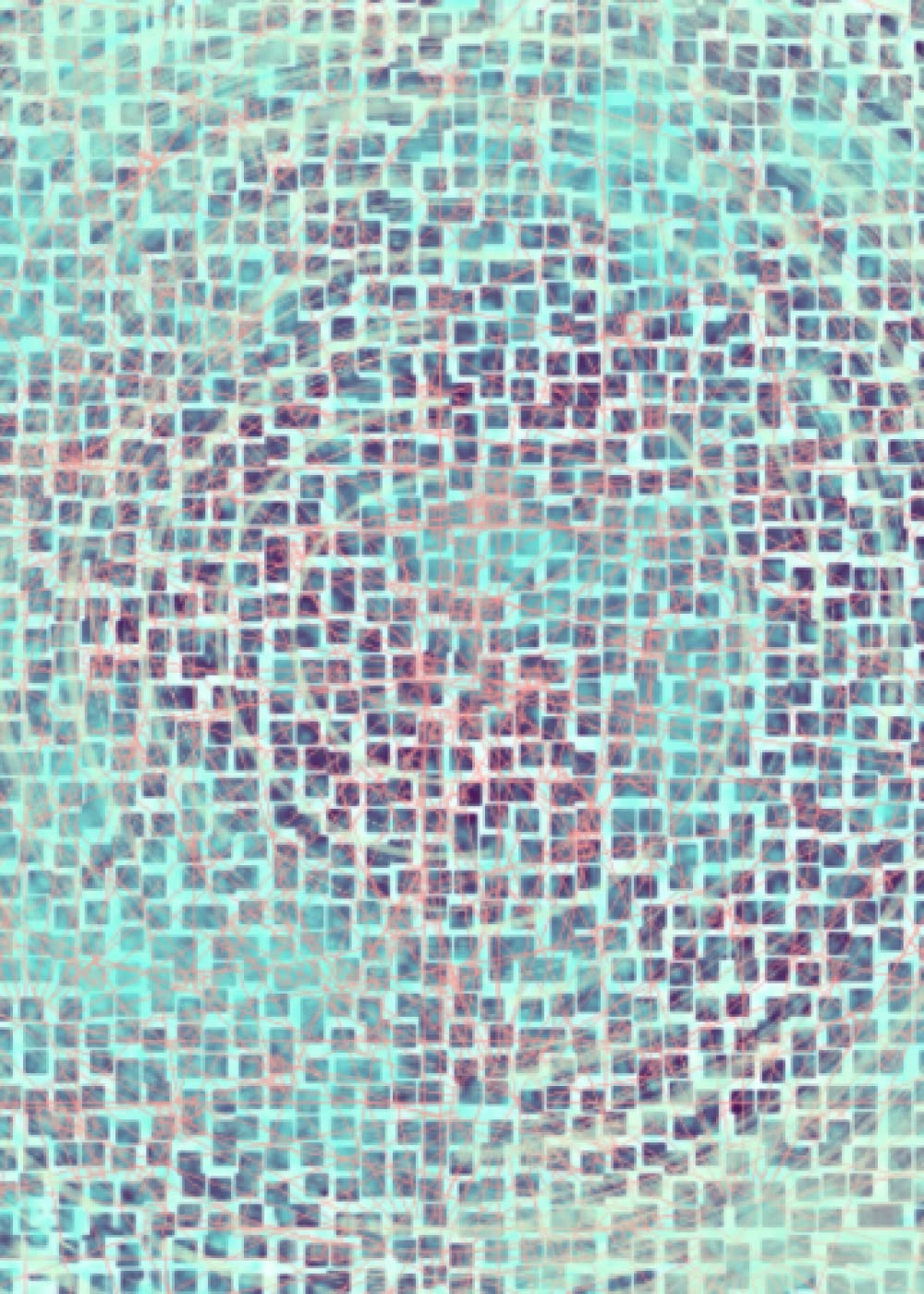 B6 Bullet Journal Micro Dot Grid: Dragon, Bohemian: Amazon.com: Books