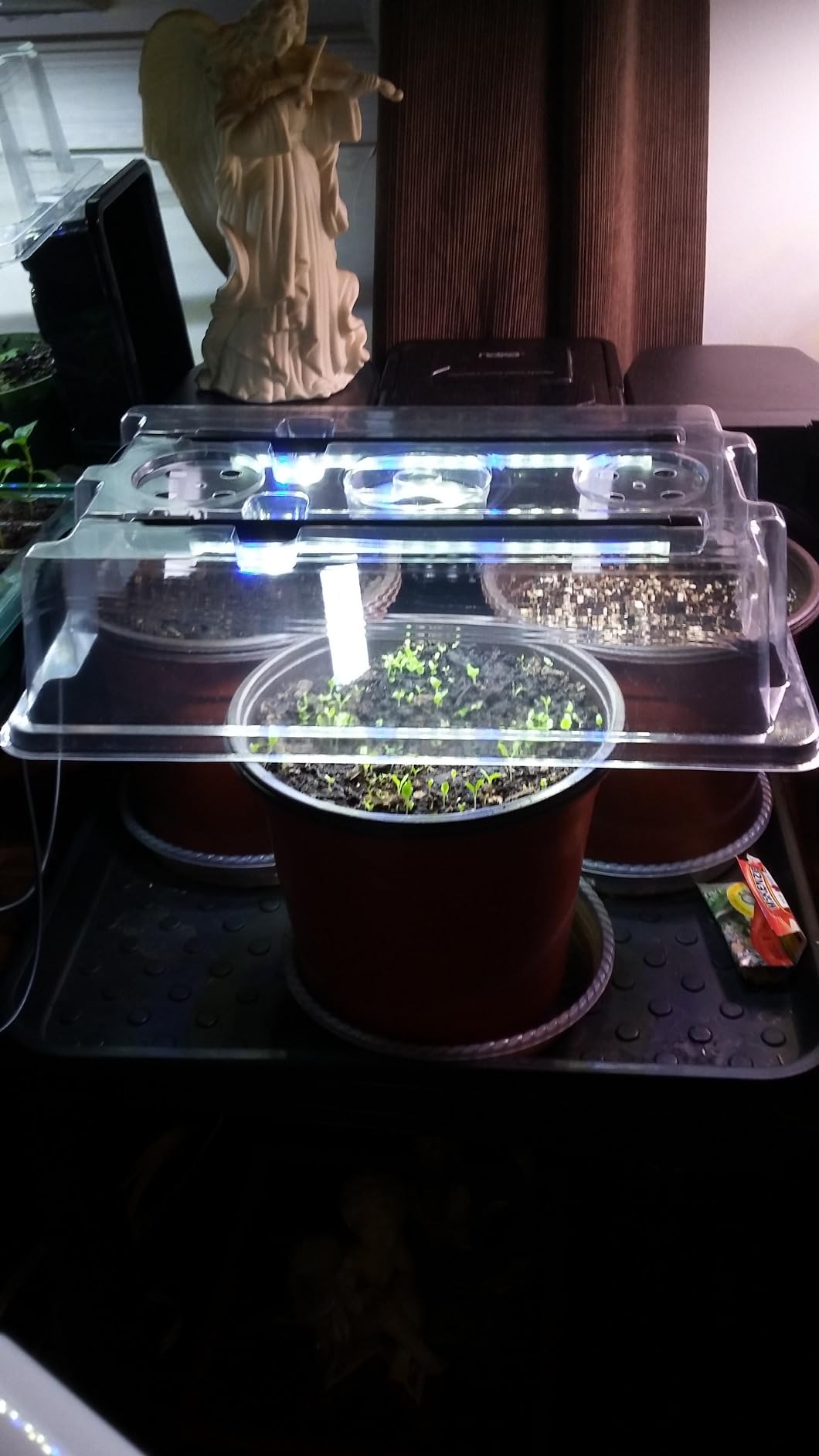 BlumWay Seed Starter Tray with Grow Light,2 Pack 80 Cells Seedling Tray ...