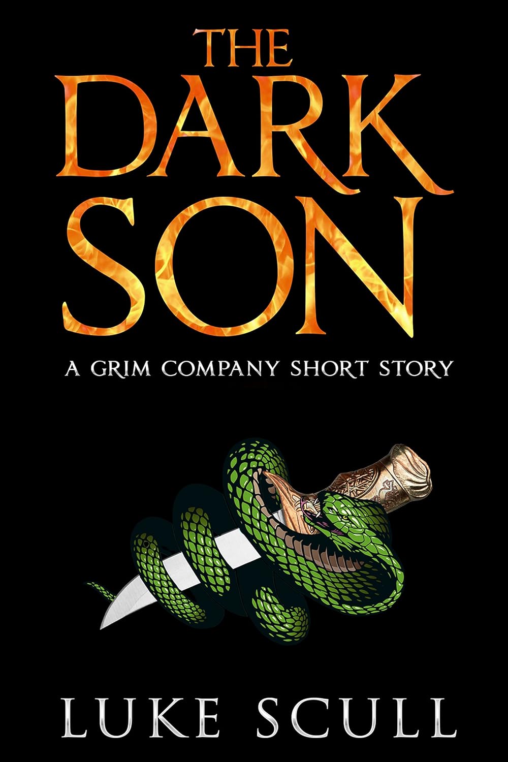 Amazon.com: The Dark Son: A Grim Company Short Story eBook : Scull ...