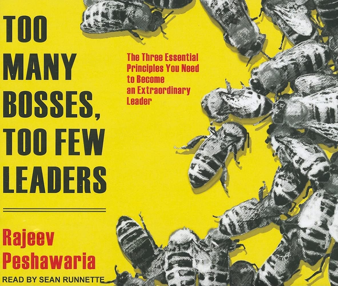 Too Many Bosses, Too Few Leaders: The Three Essential Principles You ...