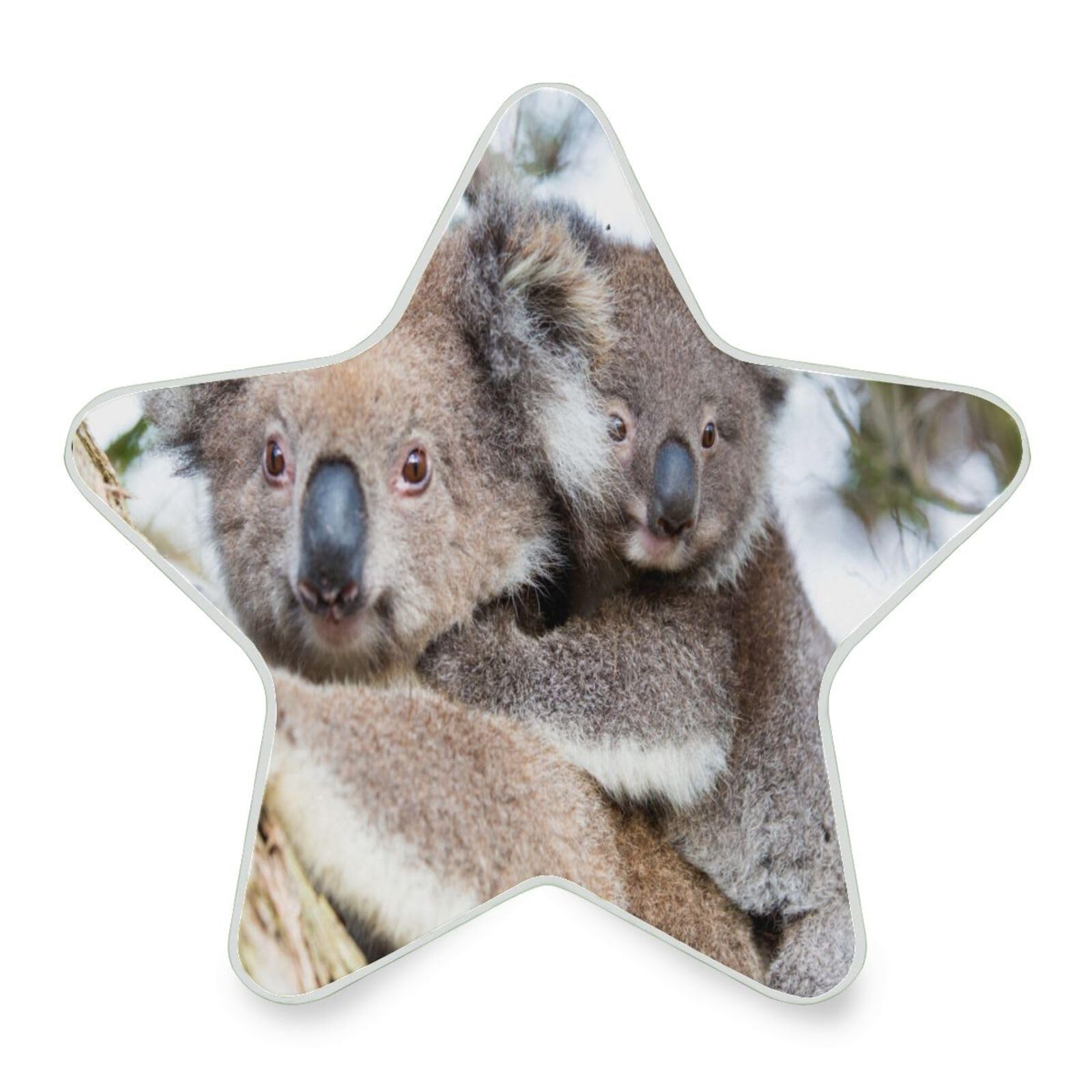 Koalas Eating At Night