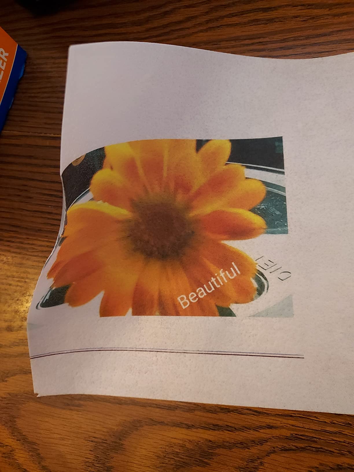 $47/mo - Finance Cake Topper Image Printer, Cake Ink Cartridges, 50 ...