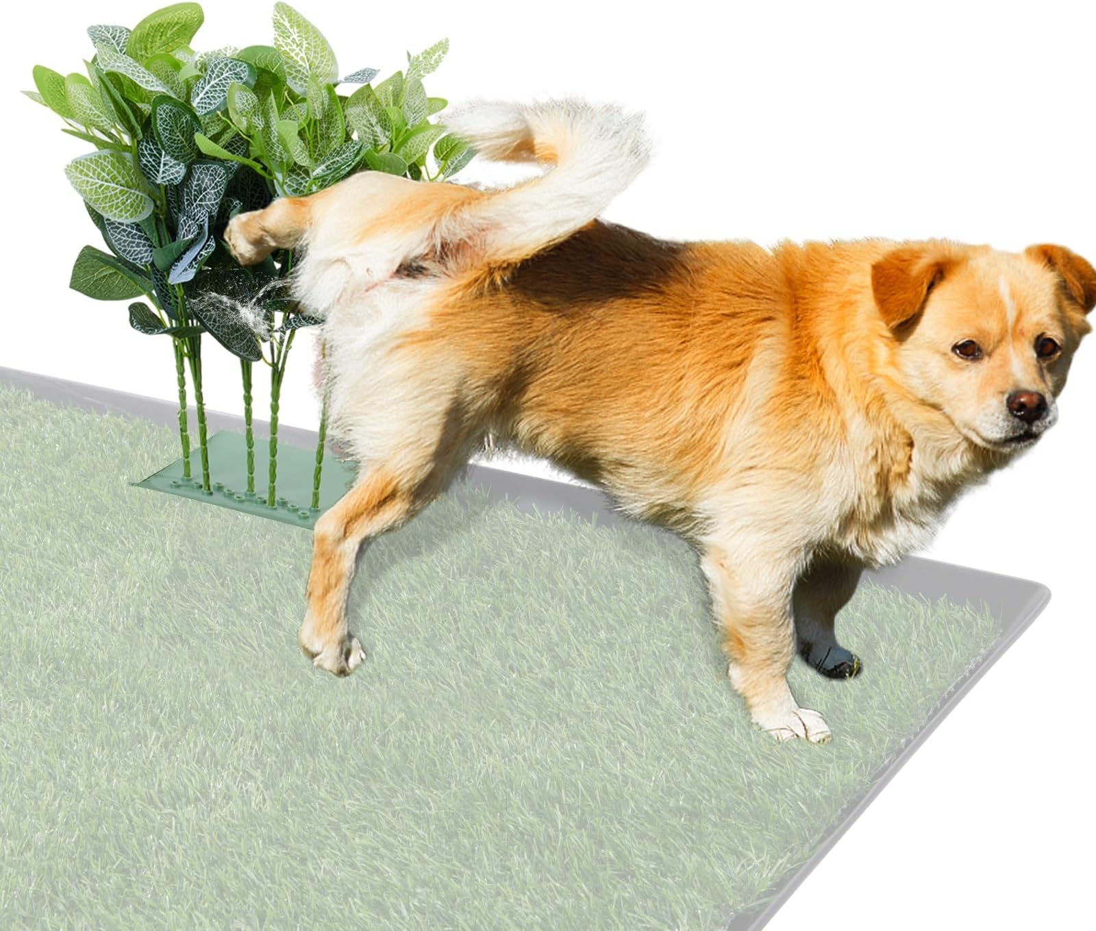 Amazon.com: LOOBANI 5Pcs Fake Grass Plants Pee Post for Dogs to Pee on ...