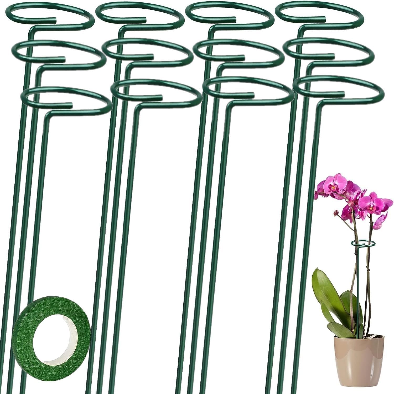 Metal Plant Supports Loop Stakes 5 pack 80cm, 100cm or 130cm tall ...