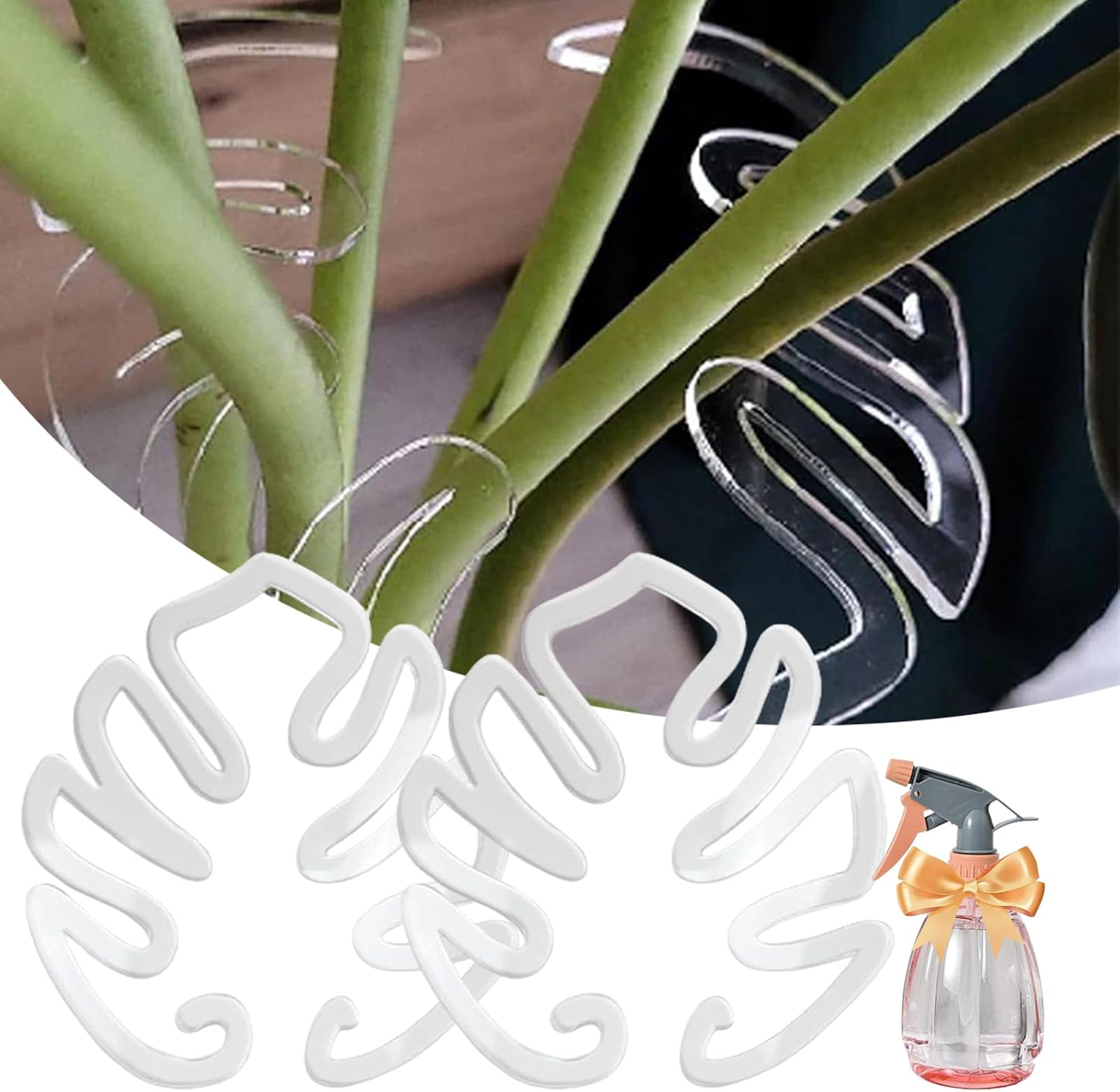 Monstera Plant Support, Monstera Support, Unique & Aesthetic Monstera ...