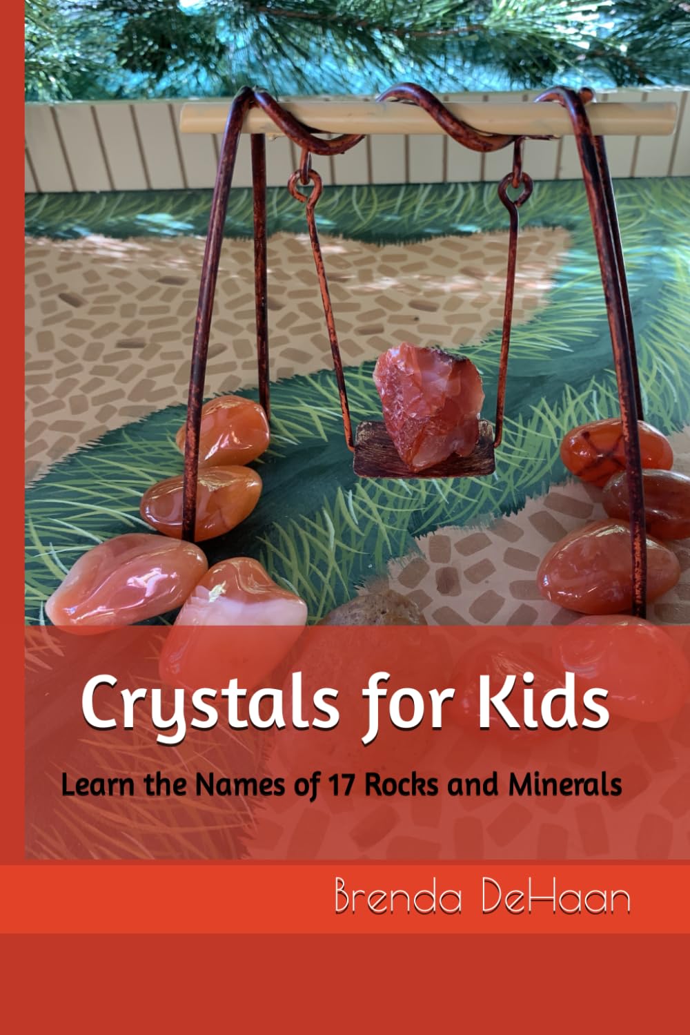 Crystals for Kids: Learn the Names of 17 Rocks and Minerals: DeHaan ...