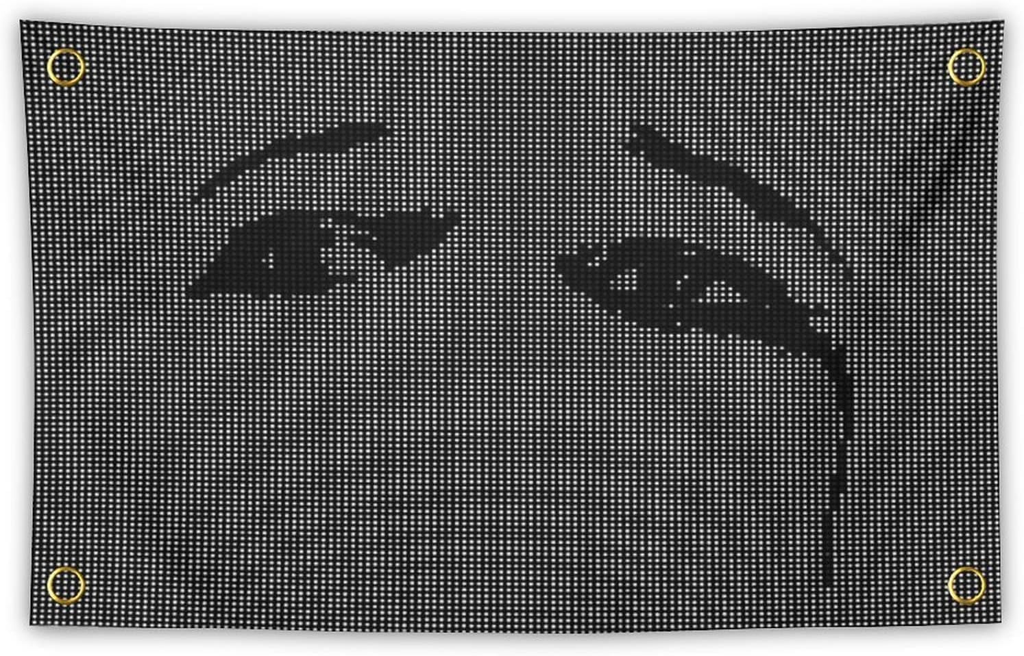 Amazon.com : Rock Music Flag Tapestry, Metal Band Album Cover Tapestry ...