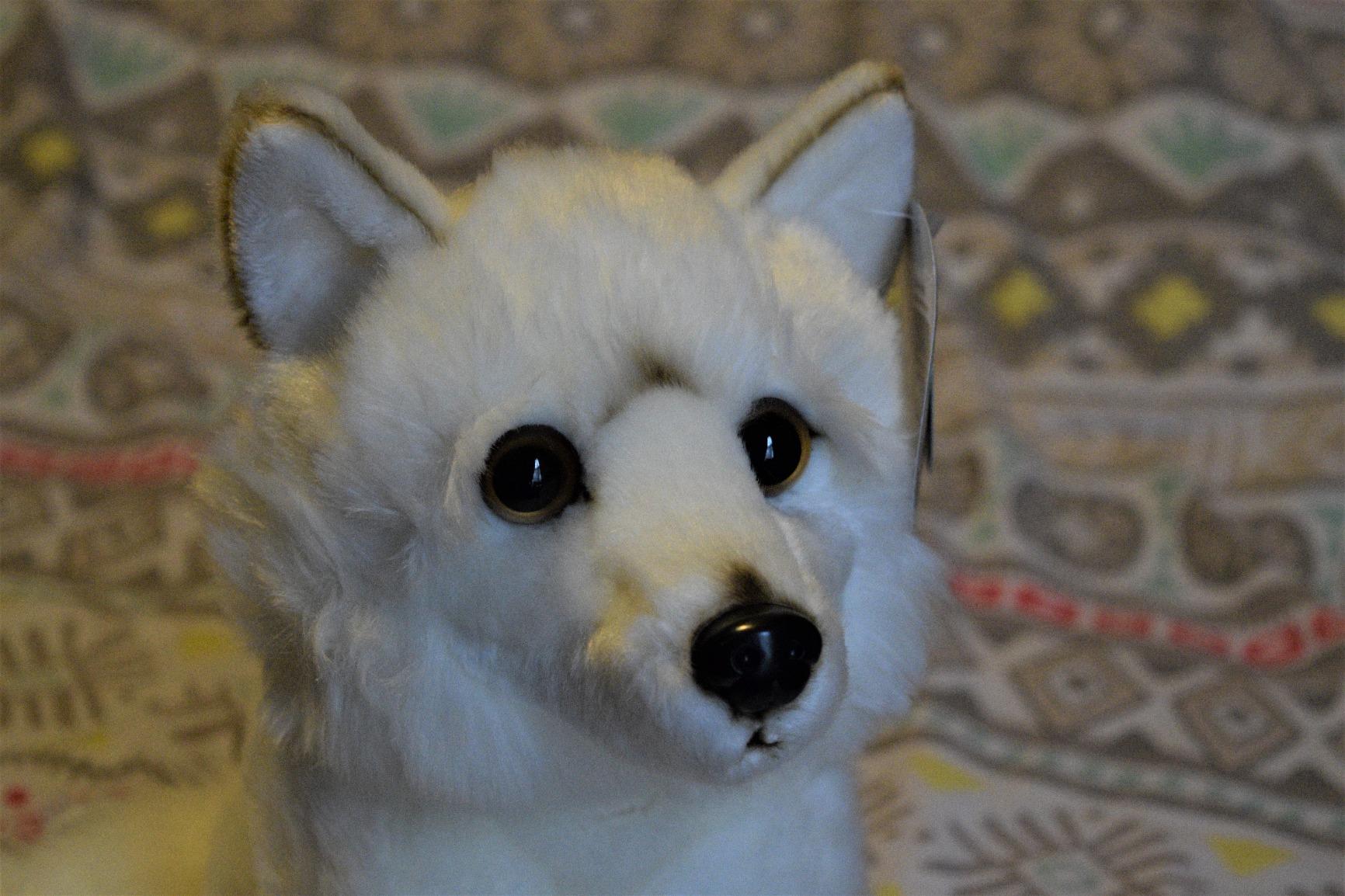 Amazon.com: Wildlife Tree 12 Inch Stuffed Arctic Fox Plush Floppy ...