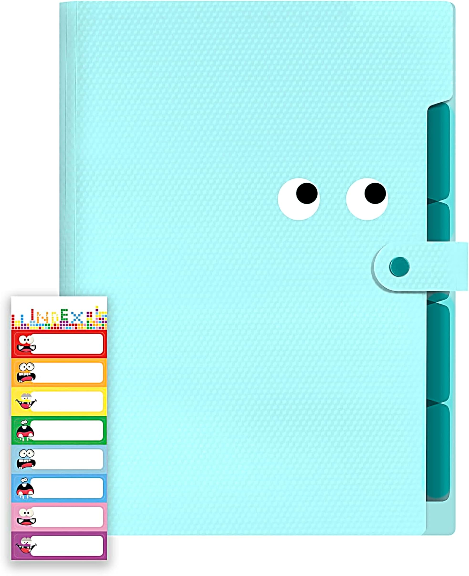 NISUN 5 Pocket Expanding File Folder with Fun Sticky Labels, Letter ...