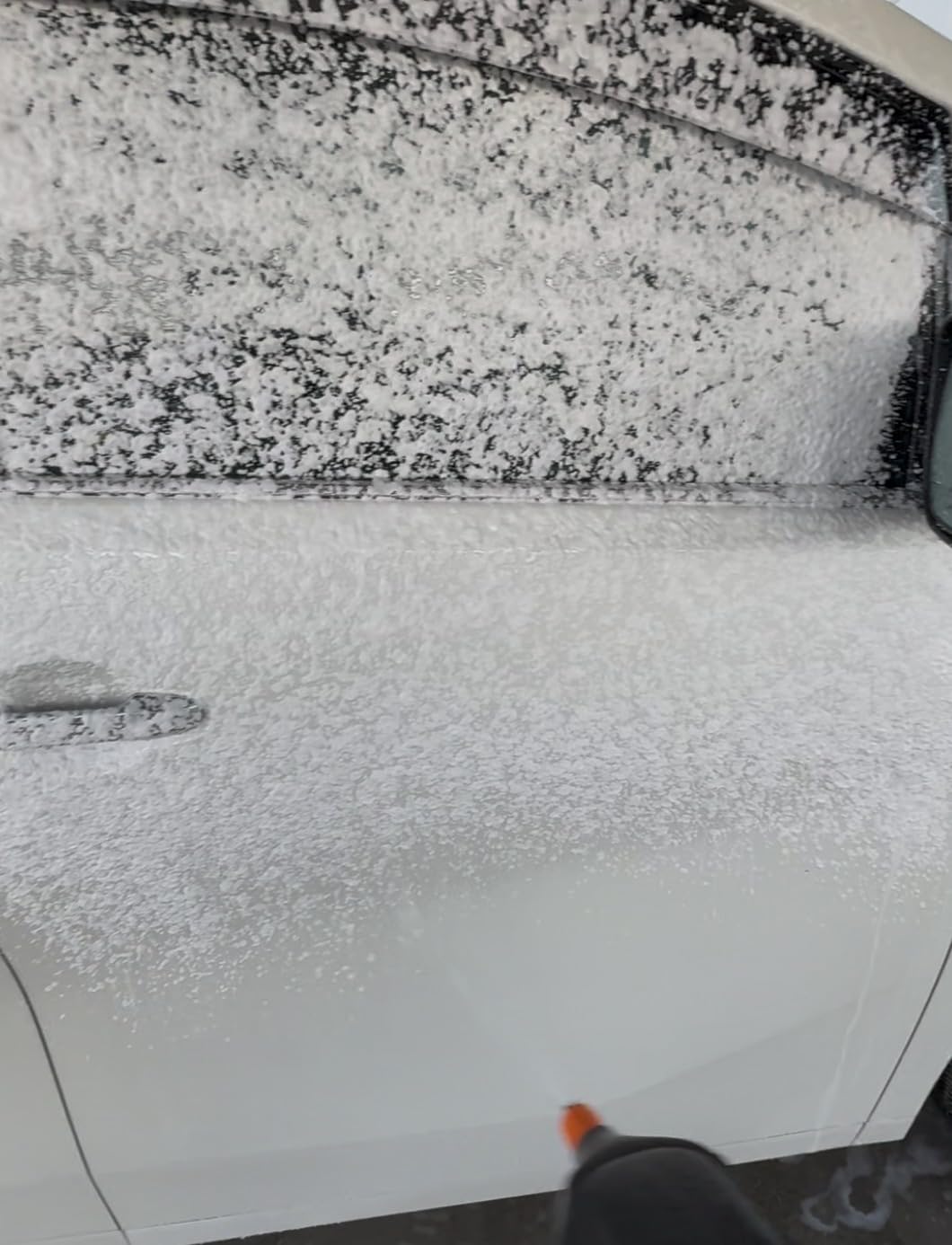 Amazon | ウィルソン(Willson) WILLSON [ ウイルソン ] 泡仕立てシャンプー コーティング車専用 (800ml) [ 品番 ] 03099 | カーシャンプー・ボディ ...