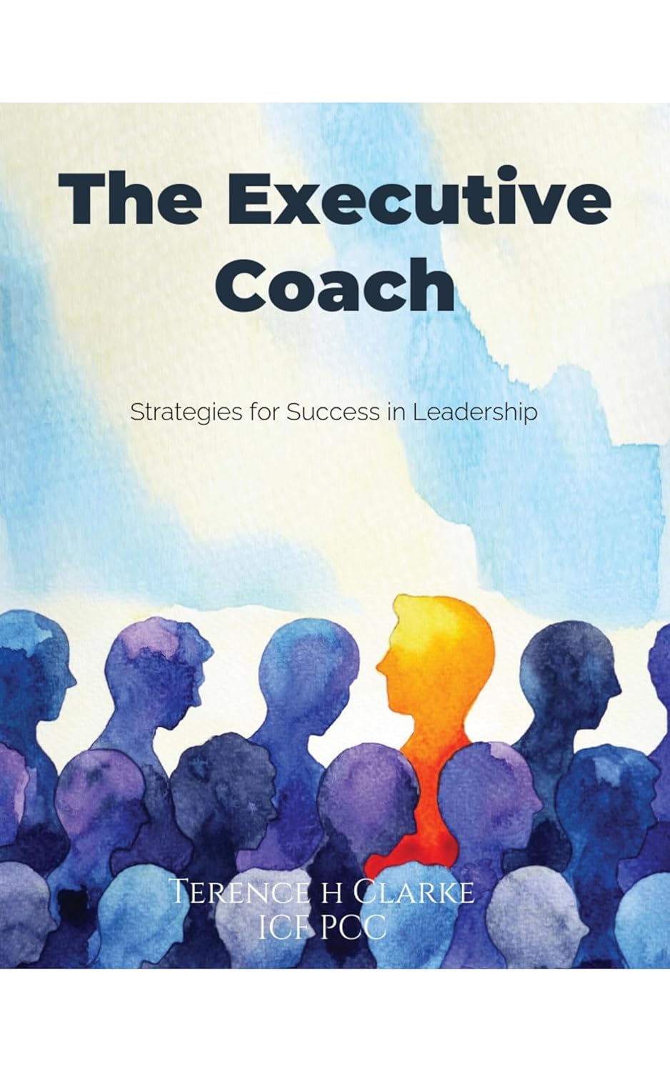 Amazon.com: The Executive Coach: Strategies For Success in Leadership ...