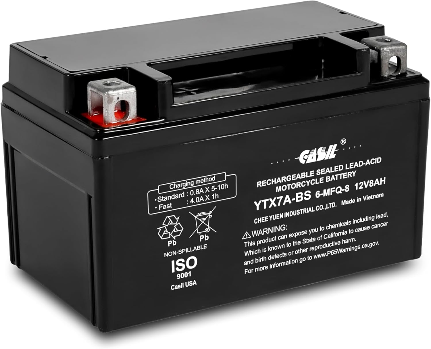 Amazon.com: Casil ATV Battery YTZ10S Motorcycle Battery Maintenance ...