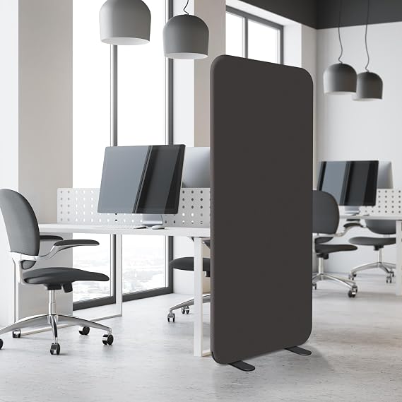 Amazon.com: DECOLAB Room Divider Panel, Standing Privacy Partition ...
