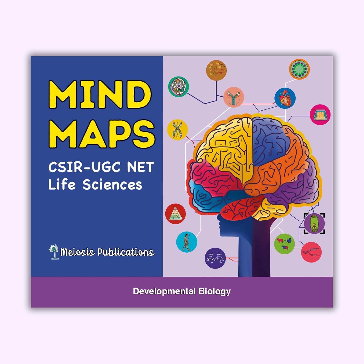 Buy CSIR UGC NET Life Sciences Mind Maps for Developmental Biology ...
