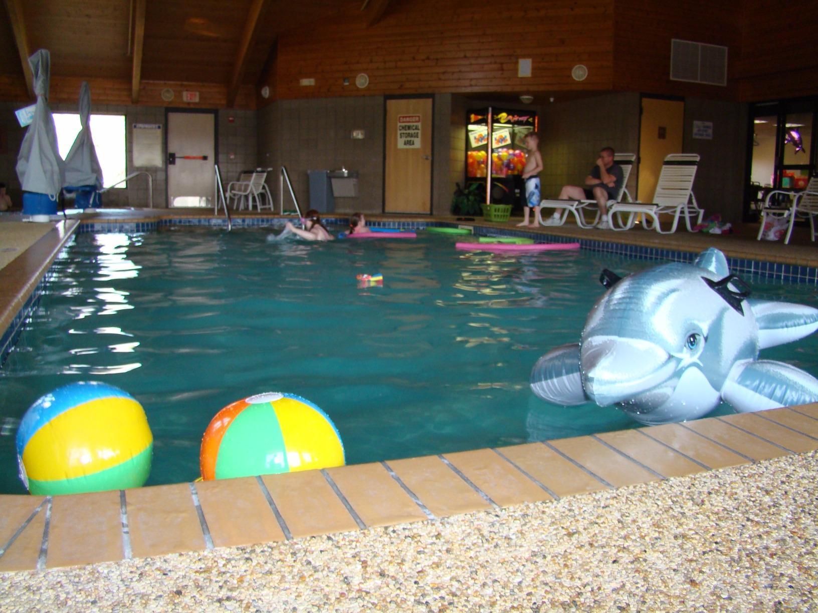 Amazon.com: Intex Recreation Corp 58539NP Dolphin Ride-on Inflatable ...