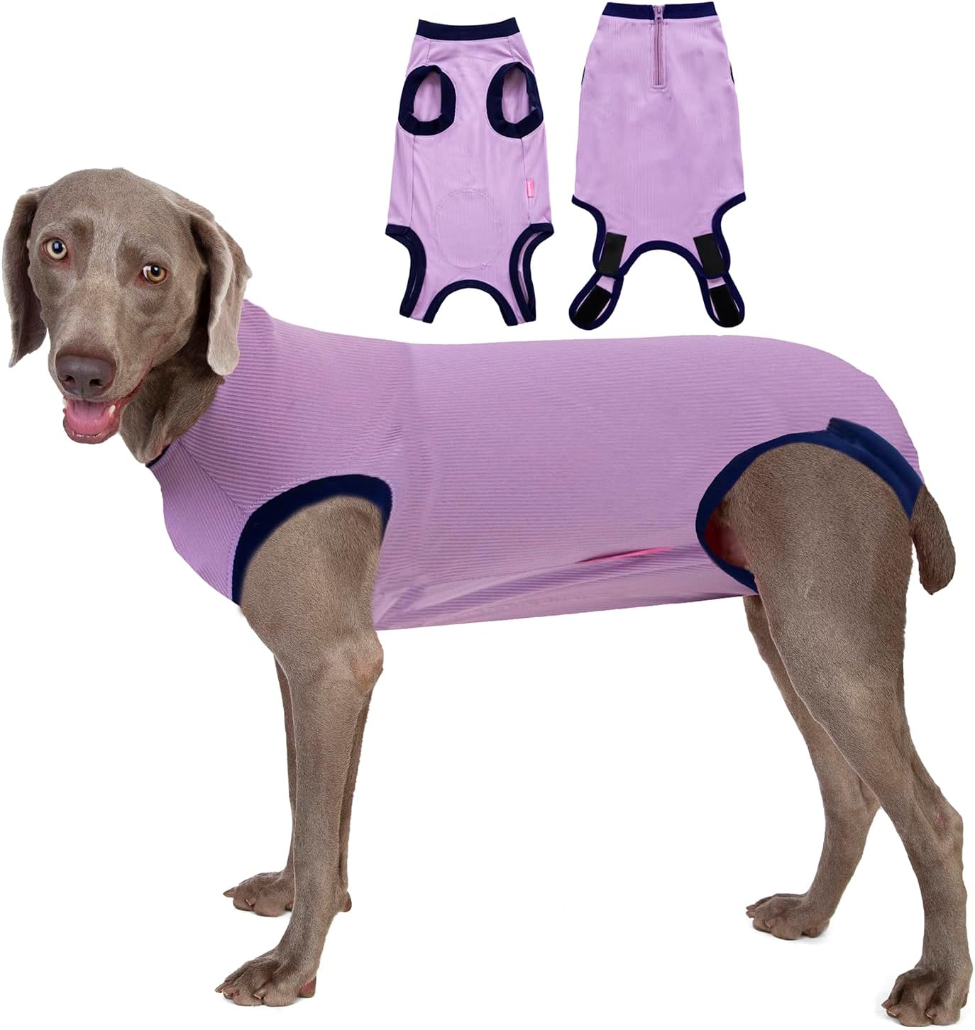Amazon.com : Wabdhaly Dog Female Spay Recovery Suit Large,Purple ...