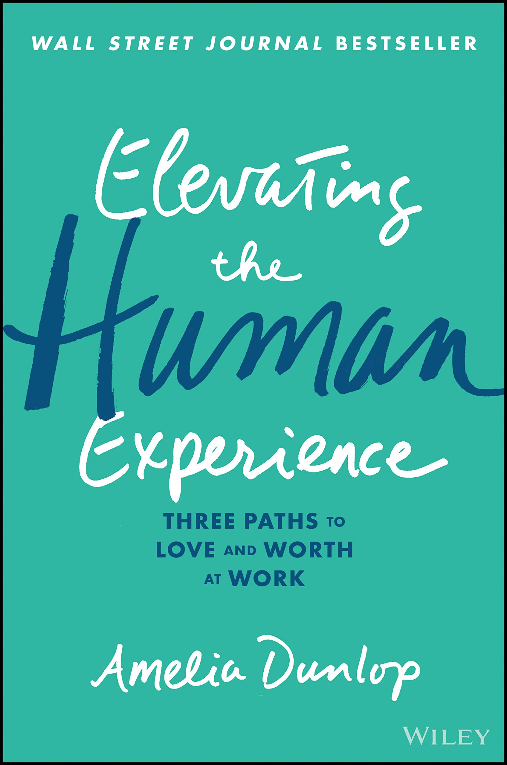 Elevating the Human Experience: Three Paths to Love and Worth at Work ...