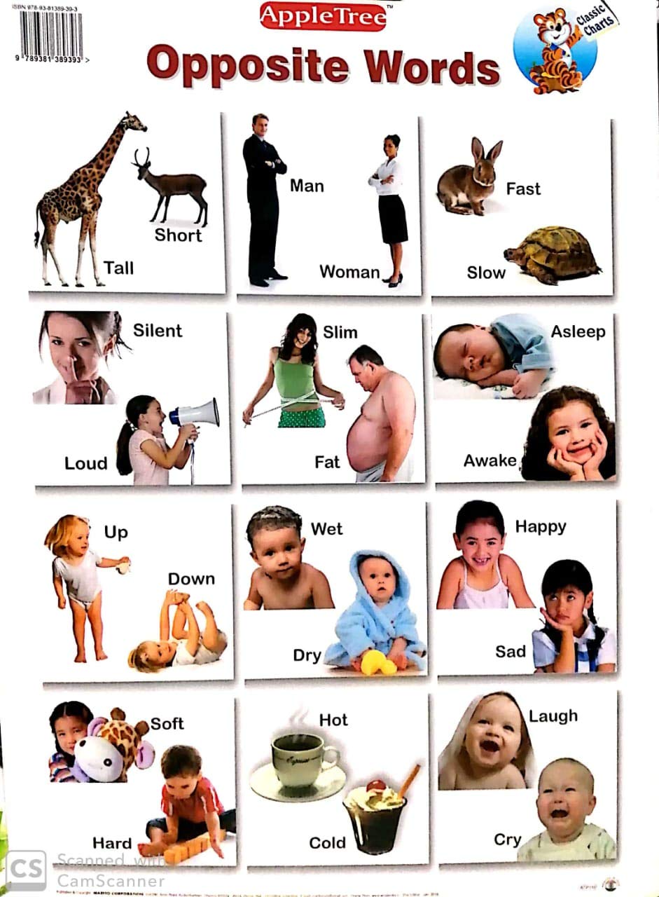 Opposite Words