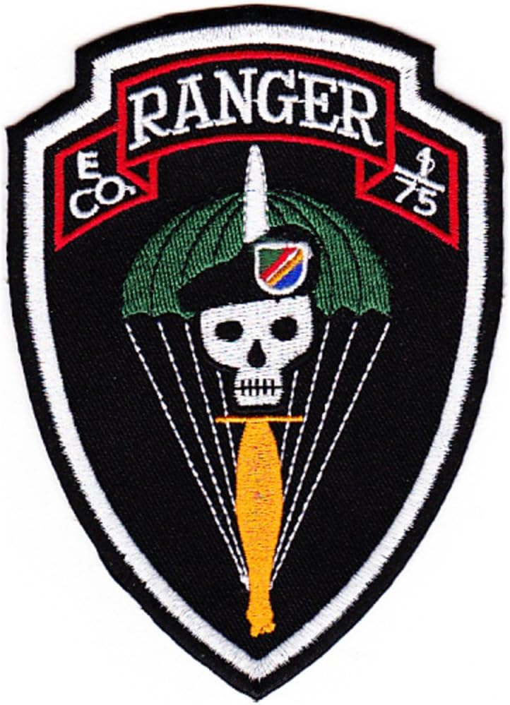 Amazon.com: E Company 1st Battalion 75th Ranger Regiment Patch ...