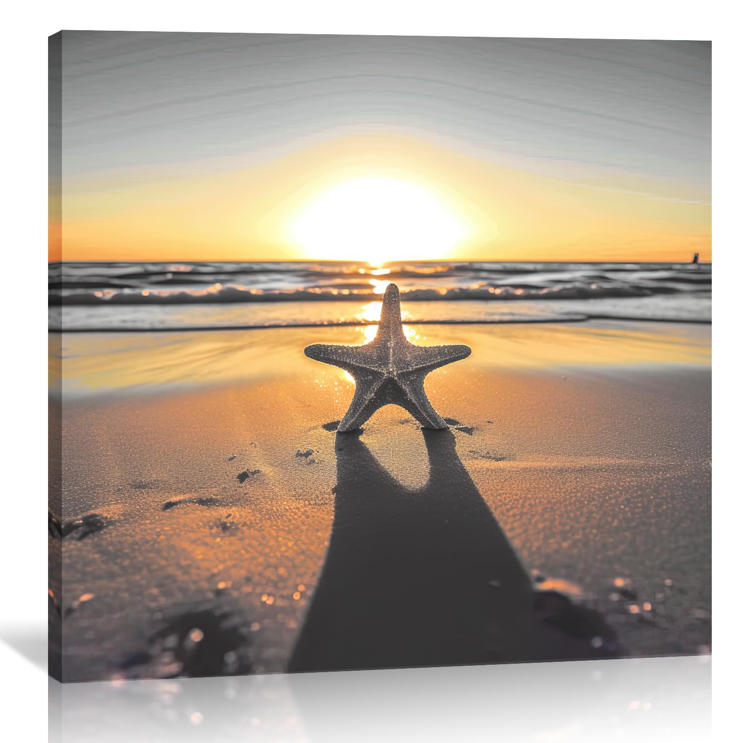 Starfish In Sand Sunset