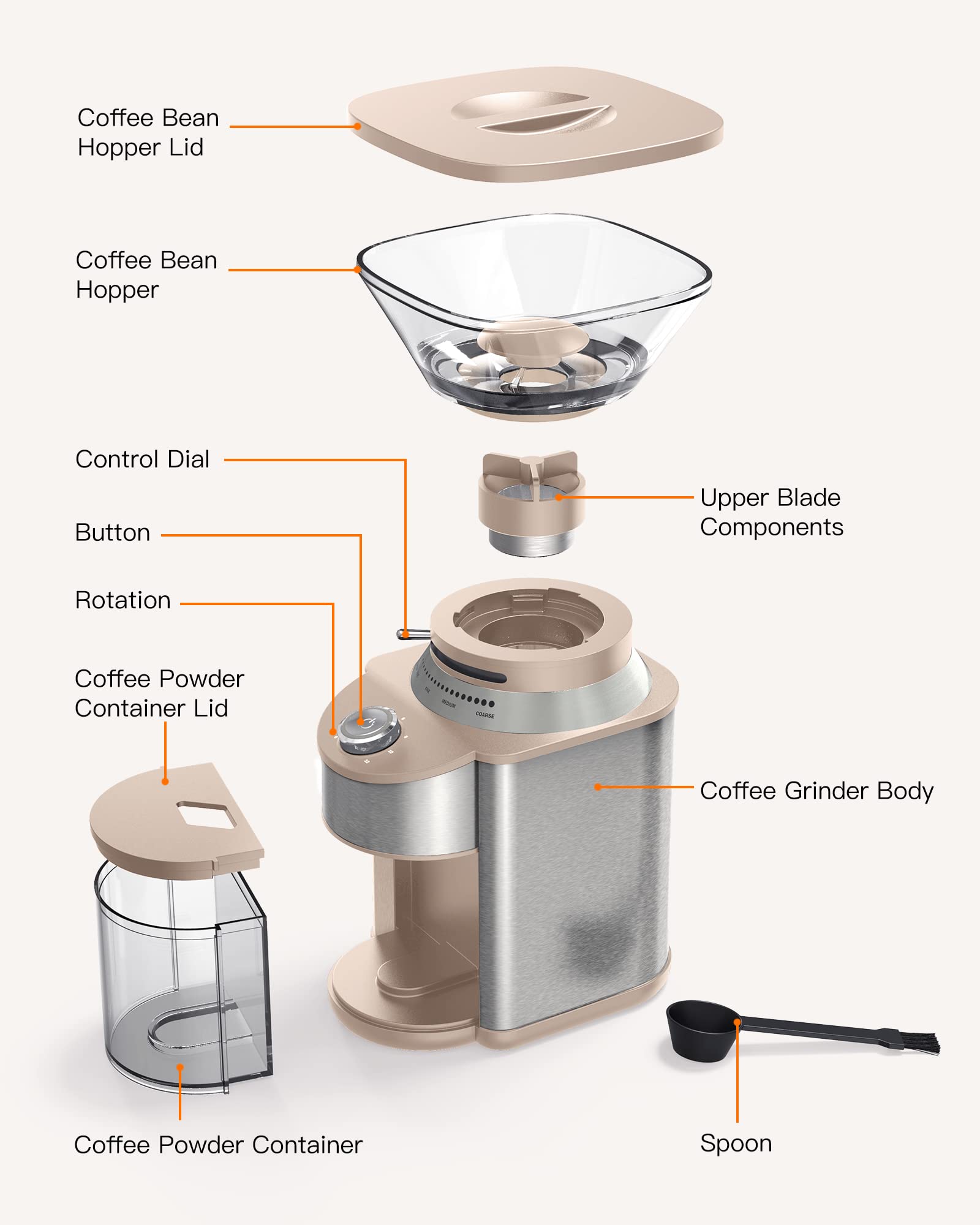 Boly Electric Conical Burr Coffee Grinder, Adjustable Burr Mill with 19 ...