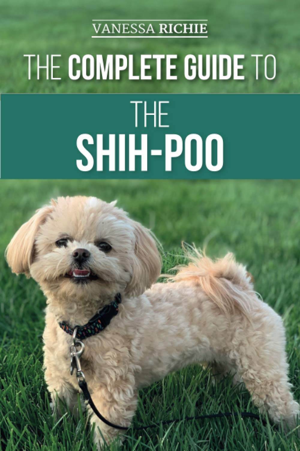 How Big Do Shih Poo Puppies Get
