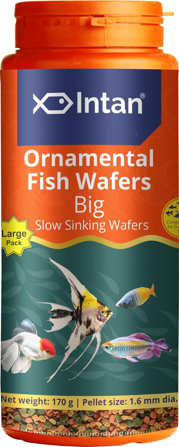 Aquatic Intan Ornamental Fish wafers Fish Food | Slow Sinking Wafers ...