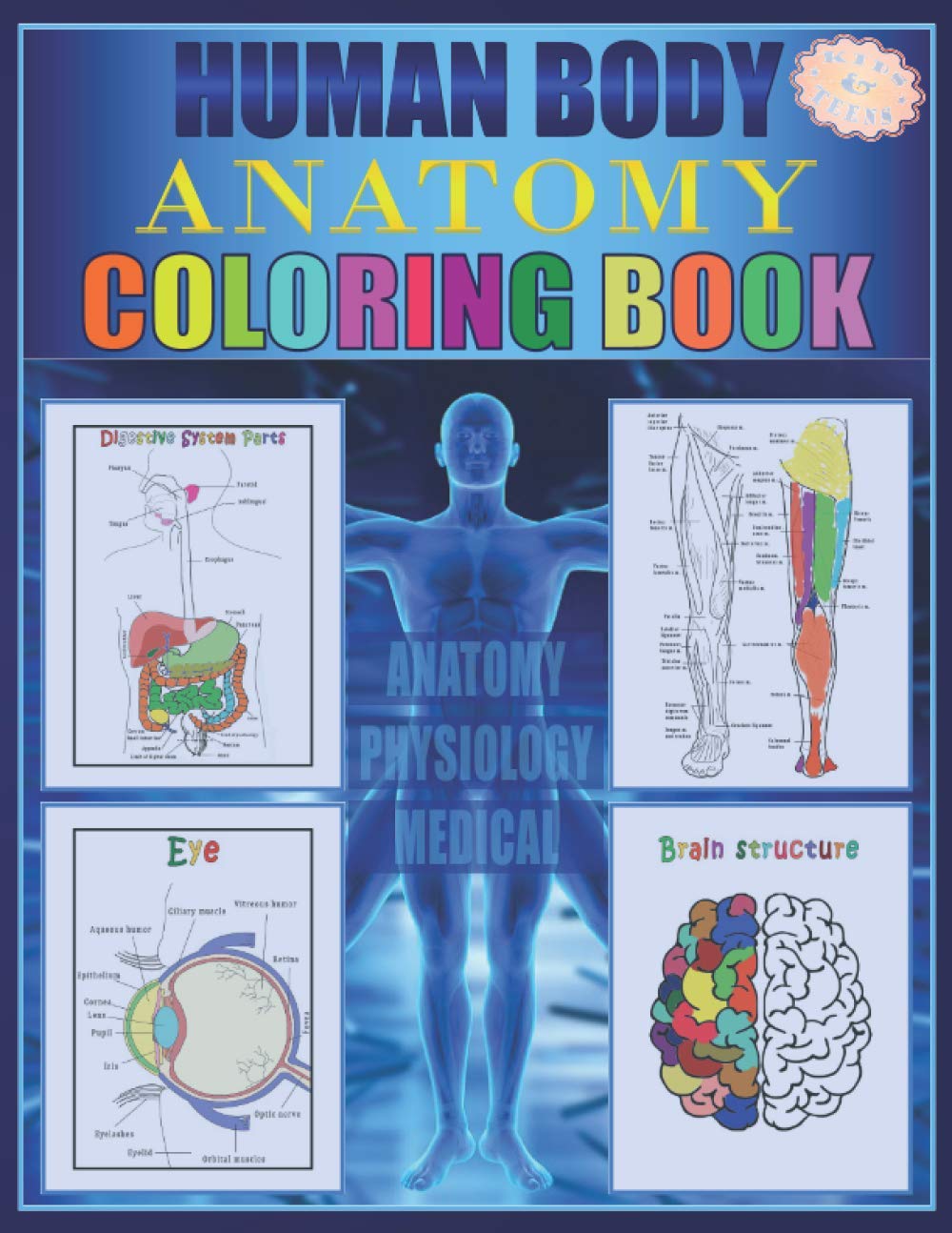 Amazon.com: Human Body Anatomy Coloring Book: Anatomy and physiology ...