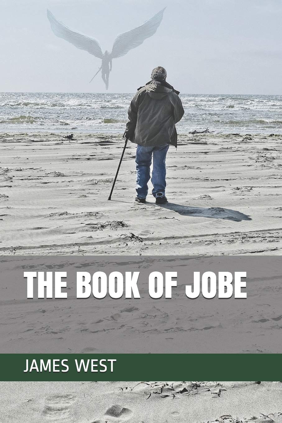 Amazon.com: The Book of Jobe (Robert Jobe Series): 9781087112756: West ...
