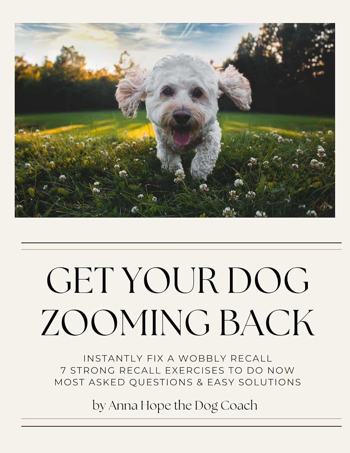 Get your dog zooming back: Instantly fix a wobbly recall, 7 easy recall ...