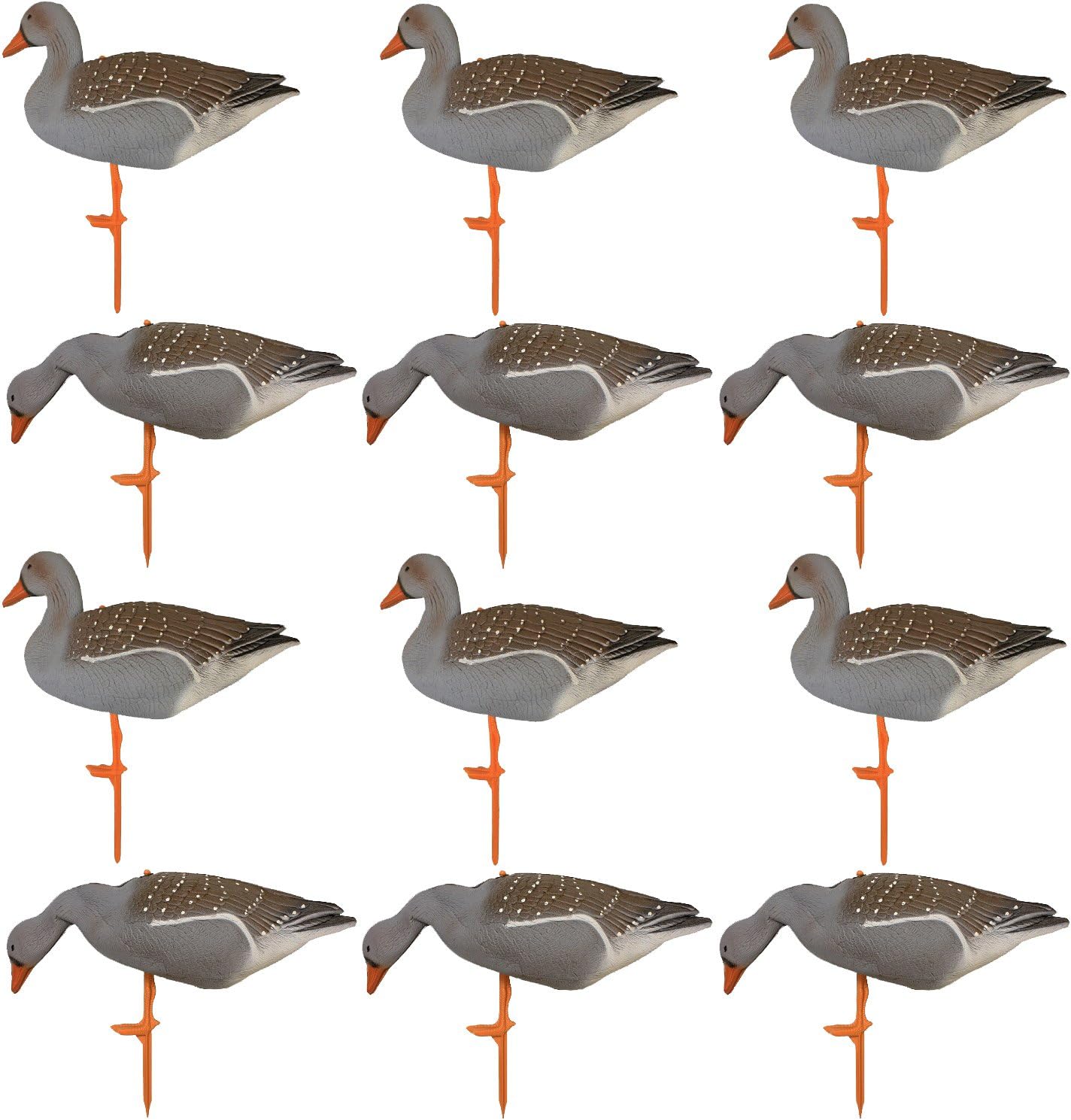 Amazon.com : Nitehawk 6 x Feeding and 6 x Looking Goose Hunting Decoys ...