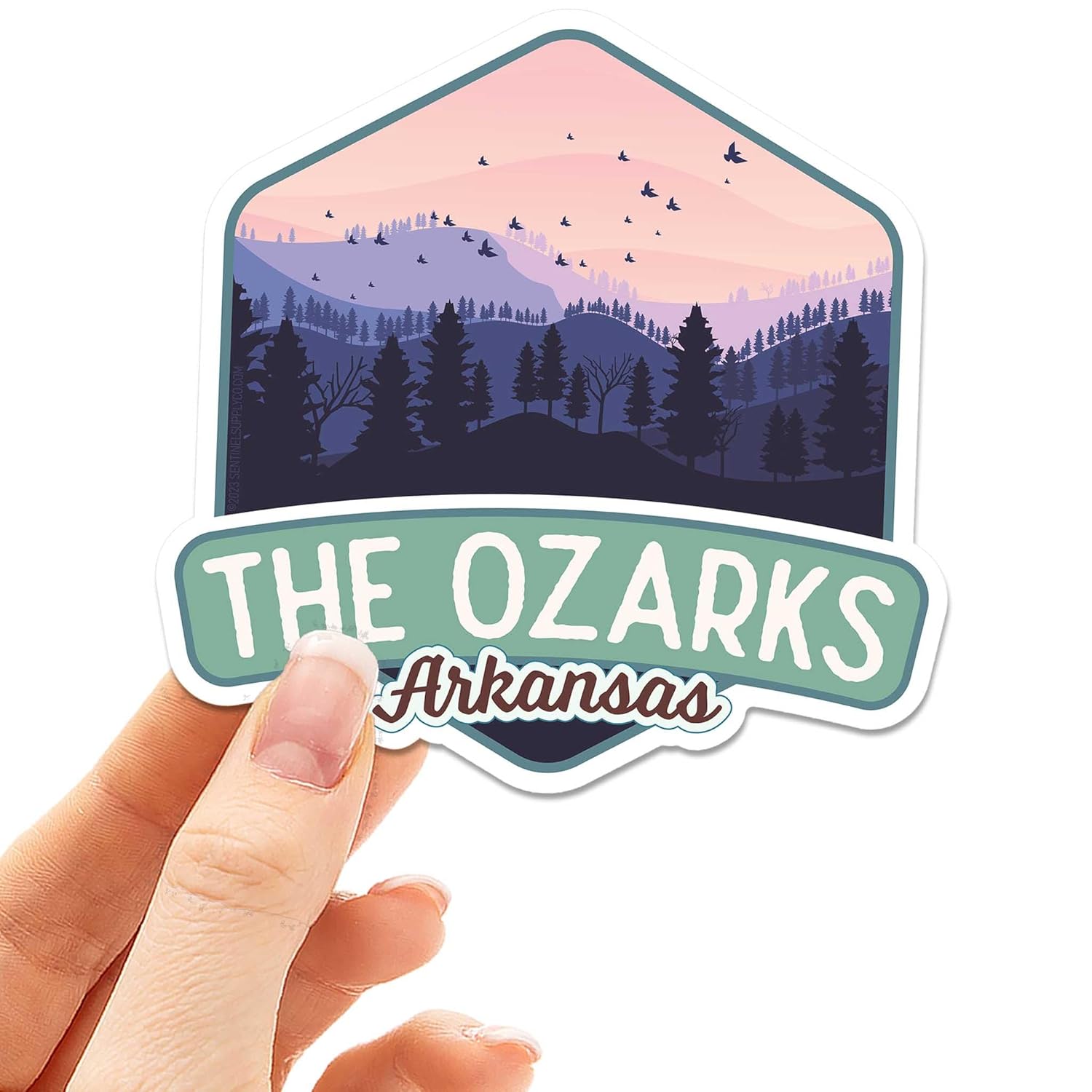 Amazon.com: Arkansas Ozarks Sticker, Cute Southern Stickers for ...