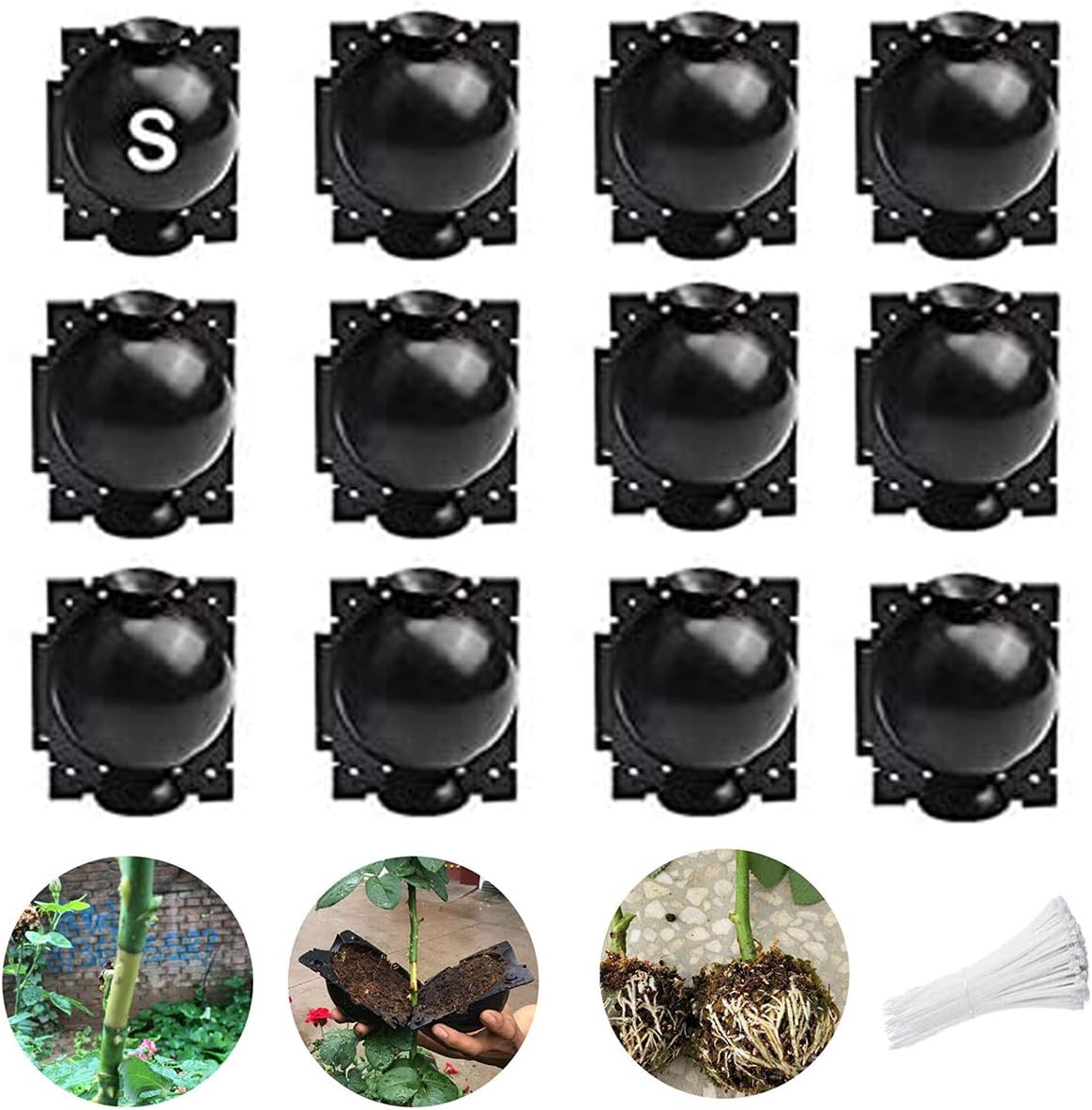 Amazon.com : Plant Root Growing Box 20 PCS, Reusable Rooting Ball for ...